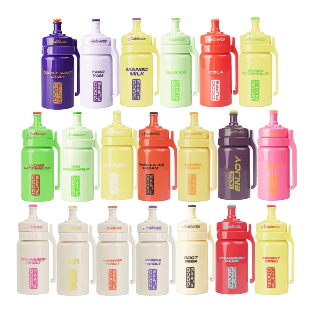 Aladdin Enjoy Disposable 12000 Puff Starter Kit - Vape 'N GO