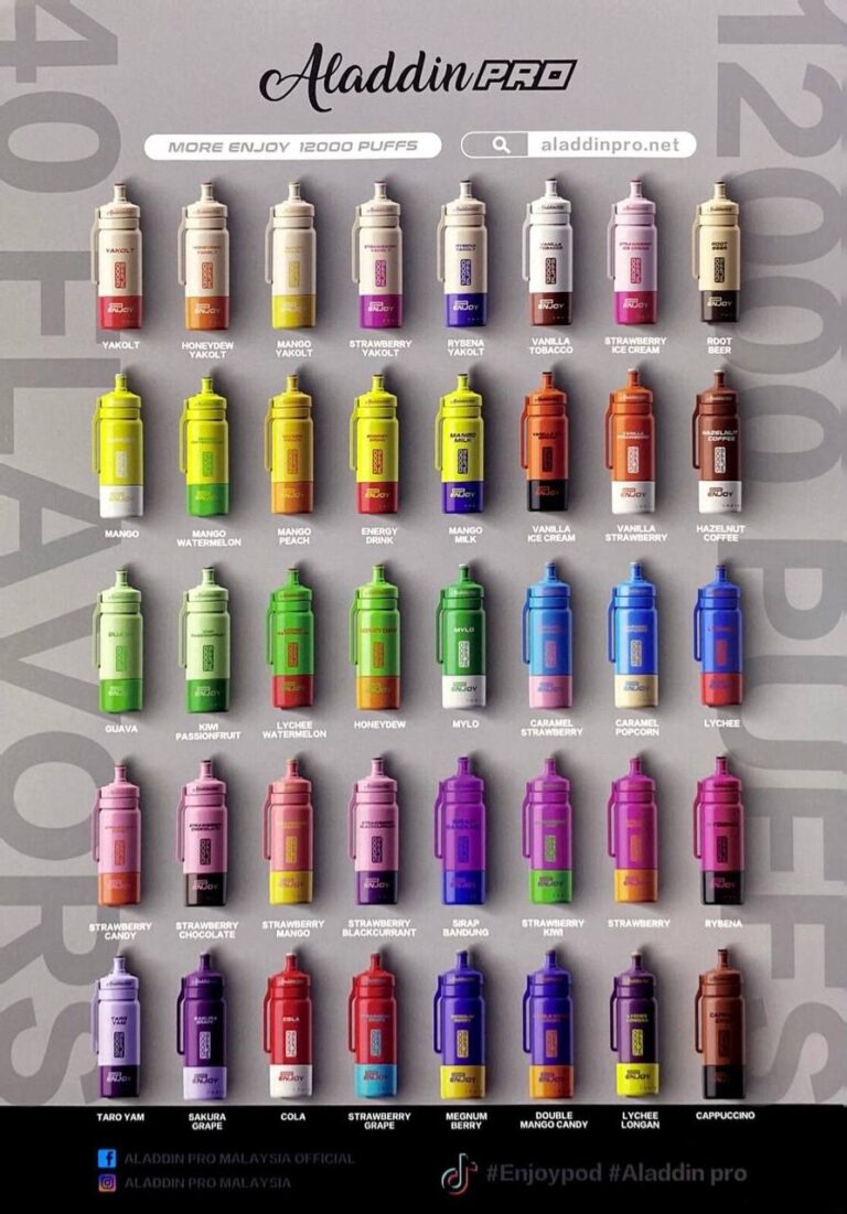 Aladdin Enjoy Disposable 12000 Puff Starter Kit - Vape And Go